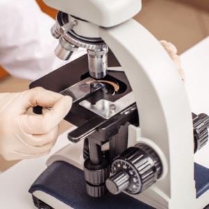 Pet Lab Testing Near Me 77095 - Copperfield Animal Clinic